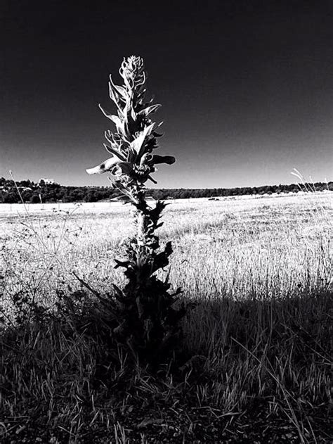 Motasem Odeh · Photography