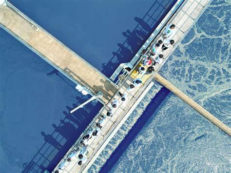 Citizen Science Hubs Open Science Nl