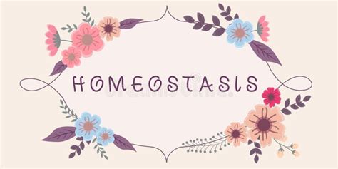 Inspiration Homeostasis Stock Illustrations 13 Inspiration
