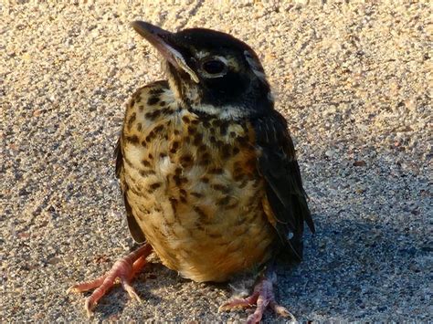 Jonathan Patterson On Linkedin Clinicalresearch