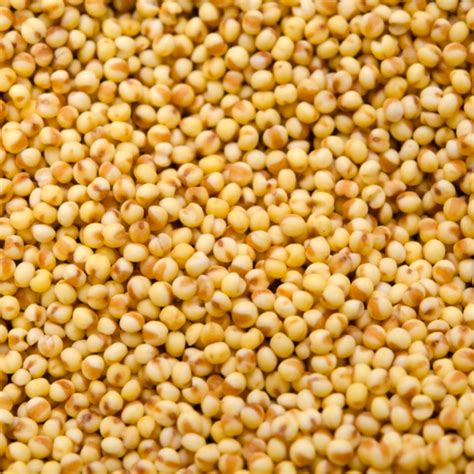Foxtail Millet 500 G Agam Foods