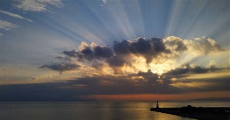 初心者の菌叢解析 Qiime2で解析16 「qiime Help」でもっとqiime2を使い倒す｜nanaimo