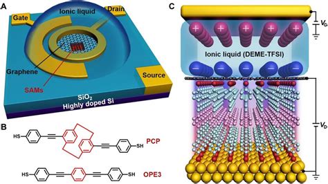 Schematic Illustration Of The Vertical Molecular Tunneling Transistor Download Scientific Schematic Illustration Of The Vertical Molecular Tunneling Transistor Download Scientific