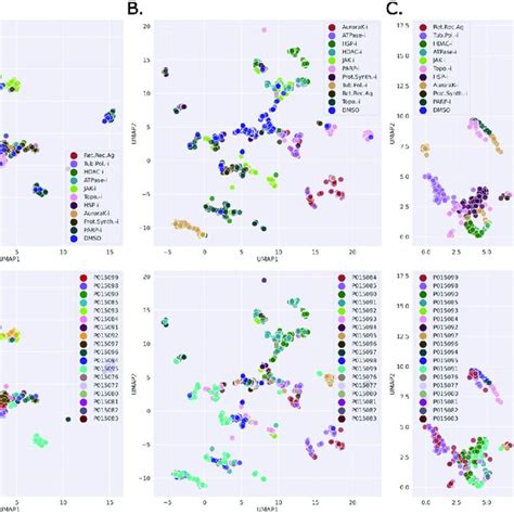 UMAP Projections DMSO Normalization UMAP Plots Of Features Learned Download Scientific