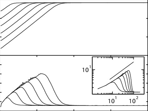 Numerical Results For The Propagation Of Finite Size Errors In The Download Scientific Diagram