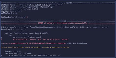 Mock Patch Not Working Issue 15 Nvim Neotest Neotest Python GitHub