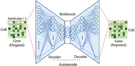 Figure 1 From Deep Learning Methods For Omics Data Imputation