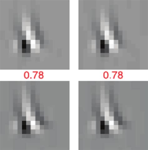 Empirical Bayes EB And Fully Bayesian FB Estimates On V1 Data A Download Scientific