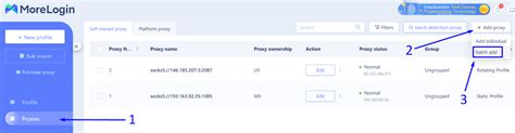 setting up a proxy in morelogin proxycompass