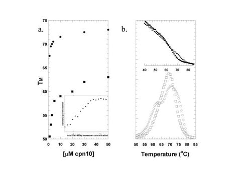 A Thermal Midpoints Tm As A Function Of Cpn10 Total Monomer