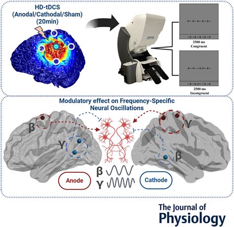 The Journal Of Physiology Vol 603 No 6