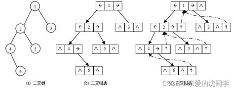 二叉树详解（c语言实现，带你彻底弄懂二叉树！）c语言二叉树算法示例代码 Csdn博客