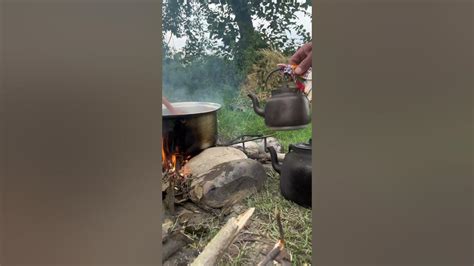 چای در طبیعت زیبای مازندران☕️🍃طبیعت چای حسخوب آرامش Youtube