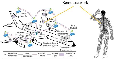 Fiber Optic Sensors For Structural Health Monitoring At Thomas Schnell Blog