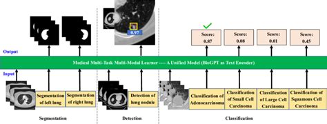 Task Specific Decoders For A Classification B Semantic
