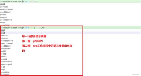 day 35 sed文本编辑器 sed 注释开头行 csdn博客