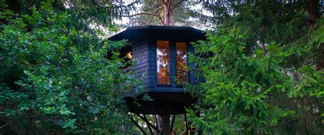 A Tree House Sauna In A Pine Tree Visit Harju
