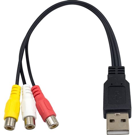 Duttek Rca To Usb Cable 25cm Usb To Rca Cable Desertcart India