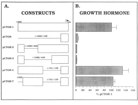 Figure 1 From Transcription Of The Human Calcitonin Gene Is Mediated By A C Cell Specific
