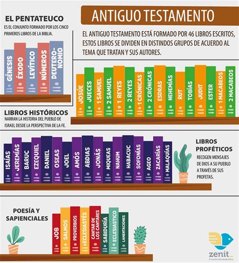 Estructura De La Biblia Antiguo Y Nuevo Testamento Varias Estructuras