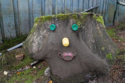 Creative Ways To Hide Tree Stumps In Your Front Yard Shannon Son S Tree Service