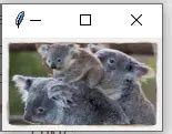 How To Resize Image While Maintaining Its Aspect Ratio In Python Delft Stack