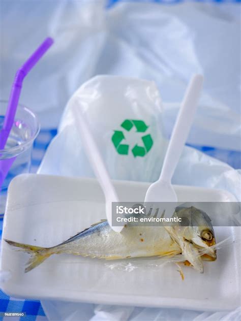 인도 고등어와 포장 필름 및 플라스틱 나이프와 포크 블루 깅 엄 테이블 천으로 배경 설정 물고기 튀어나와 칼 폴리스 티 렌 접시에 집착 0명에 대한 스톡 사진 및 기타