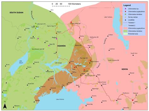 Geographic Ranges Of Chlorocebus Pygerythrus Hilgerti De Jong And Download Scientific Diagram