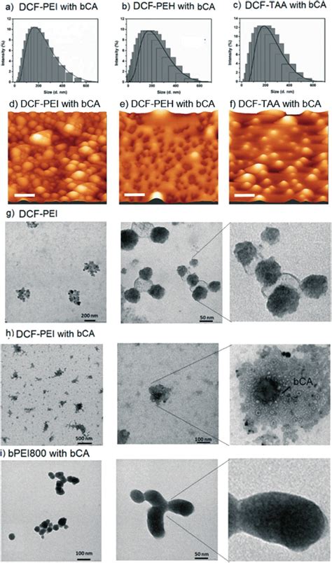 Dls Experiments Showing The Size Distribution Of Colloidal Aggregates Download Scientific