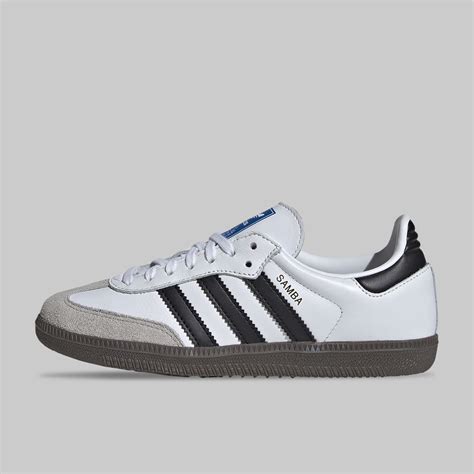 Bienvenido A Dpdirecto