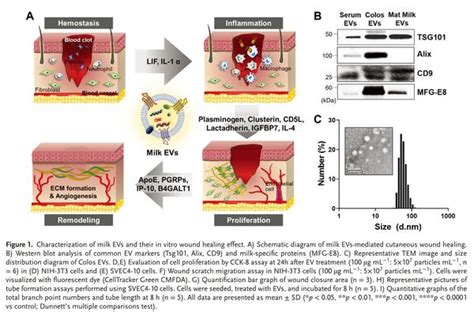 Raybio助力科研机构开发促皮肤伤口愈合新材料 Advanced Healthcare Materials（if 11 092） 知乎