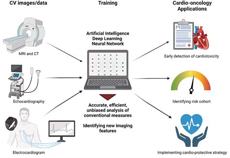Frontiers Artificial Intelligence Applications In Cardio Oncology Leveraging High Dimensional