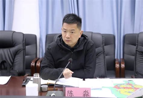 陈淼调研柳林洲街道民生建房工作