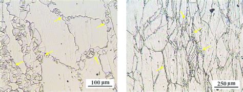 The Microstructures Of The Deformed Specimens At 1100 1c Under The Download Scientific Diagram