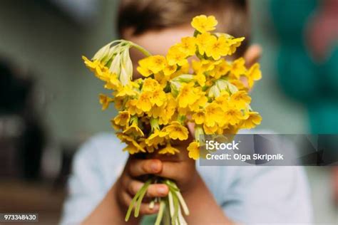 소년은 주저 노란색 꽃의 부케를 흐린 뒤에 숨기기 엄마에 게 선물입니다 꽃다발을 주고 선물꽃의 모호한 꽃다발 가족에 대한 스톡 사진 및 기타 이미지 Istock