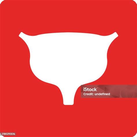 방광 아이콘 건강 관리에 대 한 전립선 기호 요관과 요도가 있는 인간의 방광 인간 비뇨기 시스템 아이콘입니다 건강관리와 의술에 대한 스톡 벡터 아트 및 기타 이미지 Istock