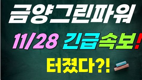 금양그린파워 주가전망 1128 긴급속보 터졌다 Youtube