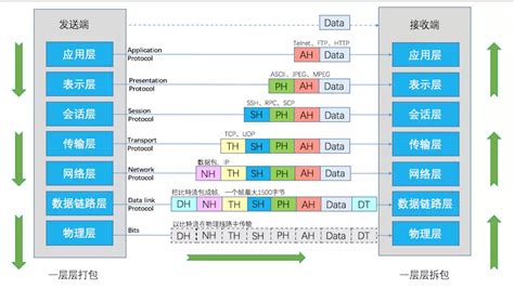 OSI参考模型是什么及主要的作用是什么 腾讯云开发者社区 腾讯云