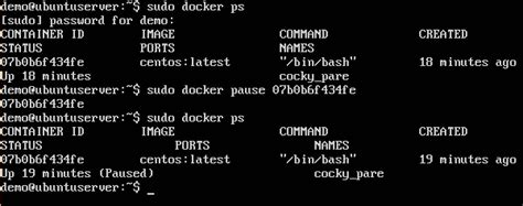 C Programming Tutorial8800765185 Docker Overview