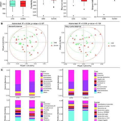 Function Profiles Of Gut Microbiota A Kegg Orthology Ko Relative