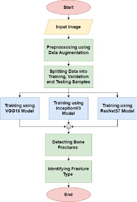 Figure 1 From A Comparative Study Of Certain Convolutional Neural