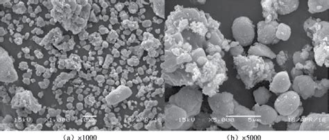 The Mswi Fly Ash In Scanning Electron Microscope Download Scientific