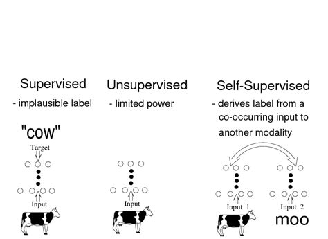 The Idea Behind The Self Supervised Algorithm Download Scientific Diagram