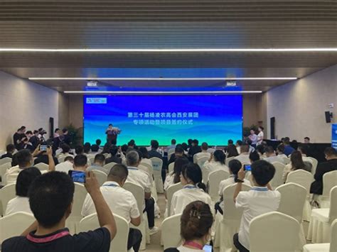 238 196亿元第30届杨凌农高会西安展团成果丰硕 项目 发展 协议