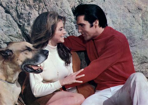 Michele Carey El Dorado