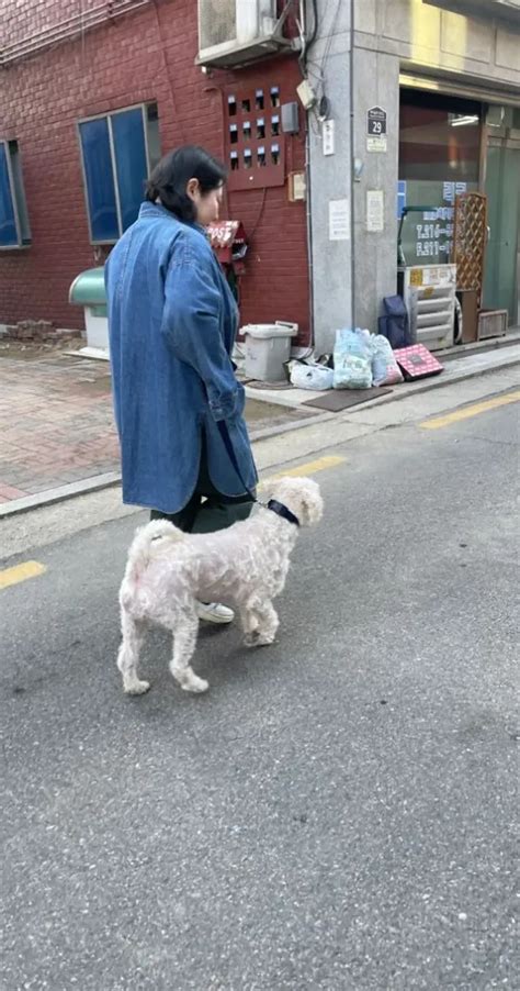 교육 너무 잘 받았습니다 친절하시고 궁금한 점도 답변 잘해주시고 어떤점이 필요한 지도 세세하게 체크해주시니까 복남이 더 잘 키울수 있을것같아요 감사합니다 숨고 숨은고수