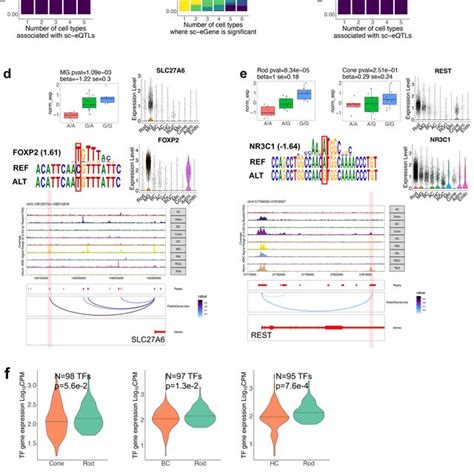 Cell Type Specific Sc Eqtls Are Often Within Ocrs Shared By Multiple