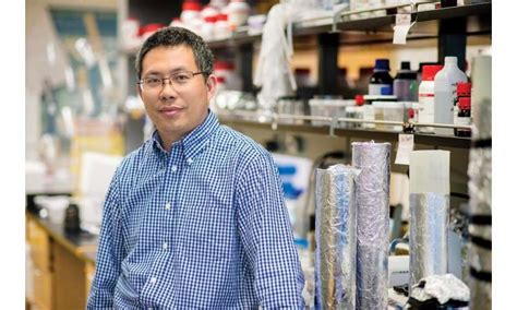 Uta Bioengineer To Develop Hydrogel To Repair Heart Tissue After Heart Attacks