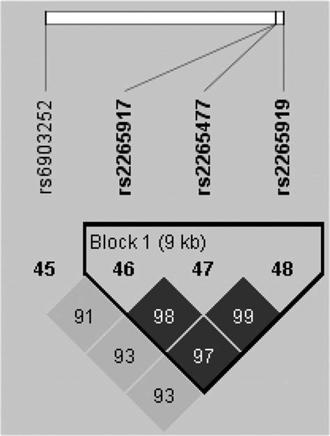 Haplotype Block On Chromosome 6 Download Scientific Diagram