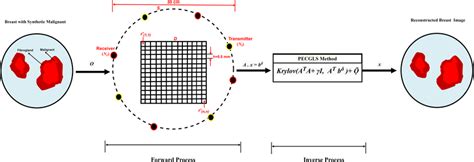 Schematic Diagram Of The Proposed High Resolution Microwave Tomography